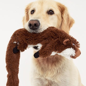 Shop All – Doggles