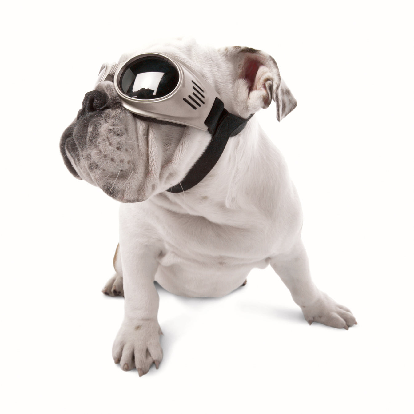 ORIGINALZ™ – Doggles