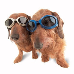 ORIGINALZ™ – Doggles®