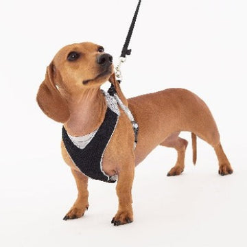 Shop All – Doggles