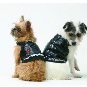 Shop All – Doggles