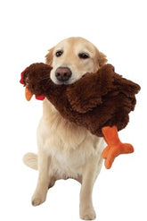 Shop All – Doggles